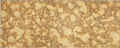 Patina Gilded Mirror Wall Tile by Kelli Fontana - 8 x 20 in. - The Tile ...