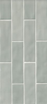 Prisma Hijau Ceramic Subway Wall Tile 3 X 10 In The Tile Shop