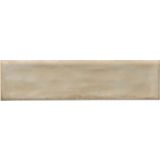 Splendor Creme Ceramic Bullnose Wall Trim Tile - 3 x 12 in. - The Tile Shop