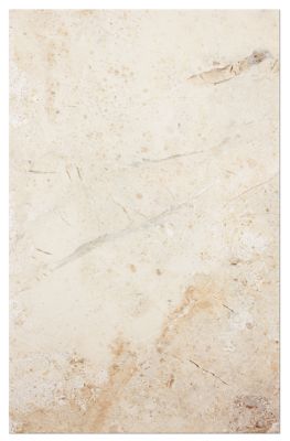 Ivory Tile - The Tile Shop