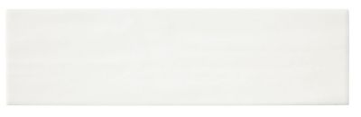 Color Market Toscana Ceramic Subway Tile - 2.5 x 9 in. - The Tile Shop