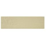Color Market Macaron Ceramic Subway Tile - 2.5 x 9 in. - The Tile Shop