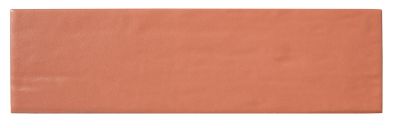 Color Market Toscana Ceramic Subway Tile - 2.5 x 9 in. - The Tile Shop