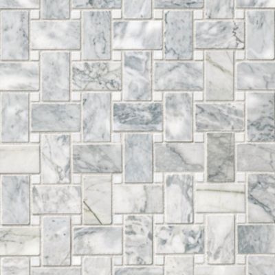Ashford Carrara Pol Niles with White Dot Marble Wall and Floor Tile ...