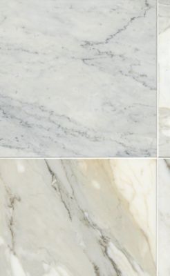 Firenze Calacatta Honed Marble Floor Tile 18 x 18 in. - The Tile Shop