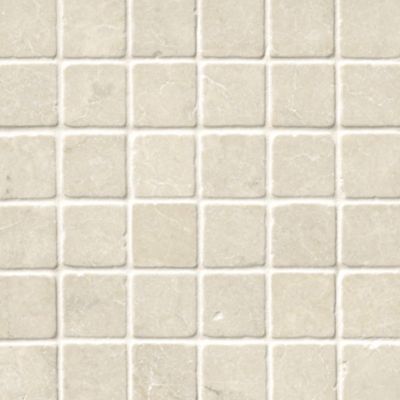 Avorio Fiorito Tumbled Mosaic Wall and Floor Tile - 2 x 2 in. - The ...
