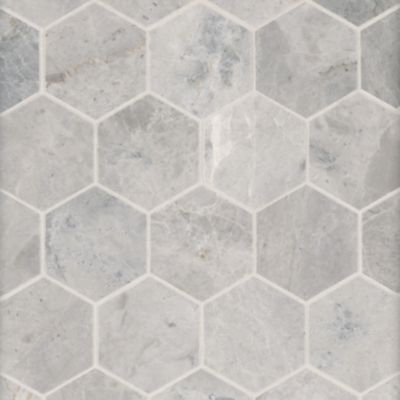 Bianco Colorato Polished Marble Hex Wall and Floor Tile - 3 in. - The ...