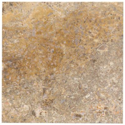 Scabos Honed Filled Travertine Wall and Floor Tile - 12 x 12 in. - The ...