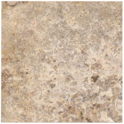 Scabos Honed Filled Travertine Wall and Floor Tile - 12 x 12 in. - The ...