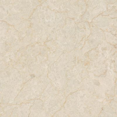 Avorio Fiorito Polished Marble Floor Tile - 18 in. - The Tile Shop