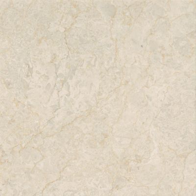 Avorio Fiorito Polished Marble Floor Tile - 18 in. - The Tile Shop