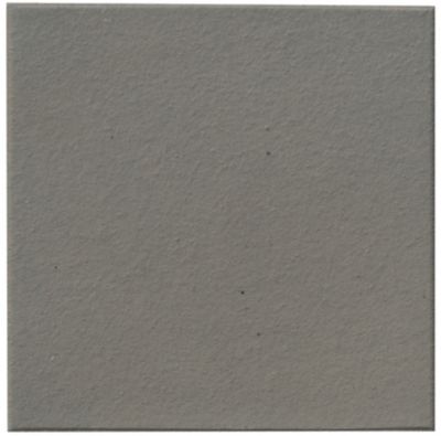 Quarry Grey Field Wall and Floor Tile - 6 x 6in. - The Tile Shop