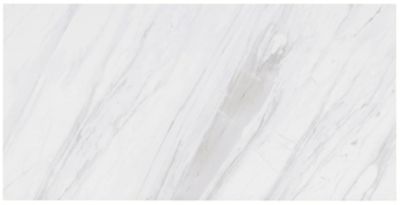 Volakas Porcelain Wall and Floor Tile - 24 x 48 in. - The Tile Shop