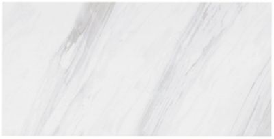 Volakas Porcelain Wall and Floor Tile - 24 x 48 in. - The Tile Shop