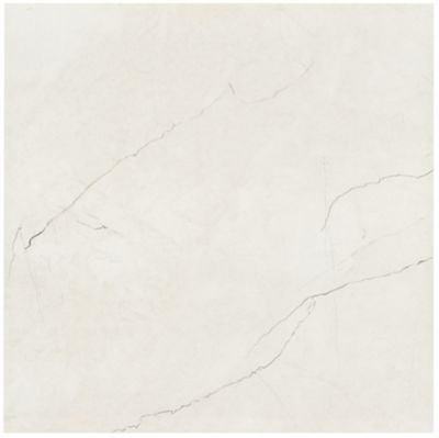 Desert Natural Polished Porcelain Wall and Floor Tile - 24 x 24 in ...