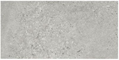Chamonix Grey Porcelain Wall and Floor Tile - 12 x 24 in. - The Tile Shop