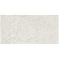 Chamonix White Porcelain Wall and Floor Tile - 12 x 24 in. - The Tile Shop