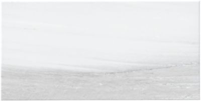 Everest White Natural Porcelain Wall and Floor Tile - 12 x 24 in. - The ...