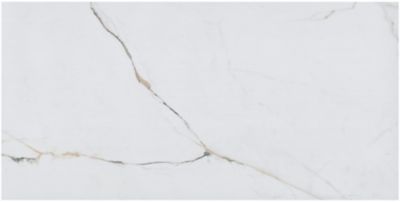 Torano Dorado Matte Porcelain Wall and Floor Tile - 24 x 48 in. - The ...