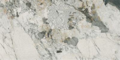Quartzite Patagonia Porcelain Wall and Floor Tile - 24 x 48 in. - The ...
