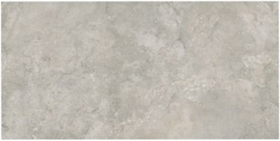 Stoica Silver Porcelain Wall and Floor Tile - 24 x 48 in. - The Tile Shop