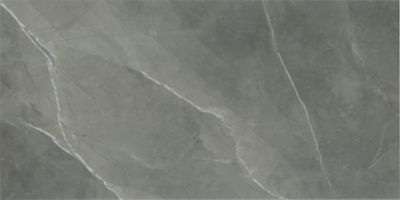 Armoni Light Grey Polished Porcelain Wall and Floor Tile - 24 x 48 in ...
