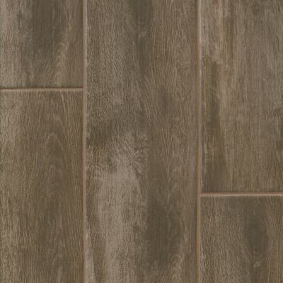 Albero Ramo Ceramic Wall and Floor Tile - 8 x 24 in. - The Tile Shop