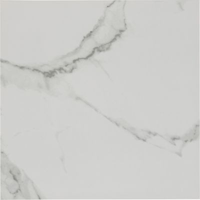 Tranco Ceramic Wall and Floor Tile - 16 x 16 in. - The Tile Shop