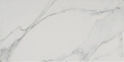 Tarantino Ceramic Wall and Floor Tile - 12 x 24 in. - The Tile Shop