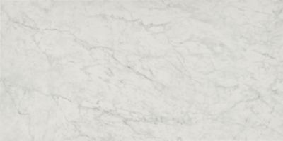 Nature Carrara Porcelain Wall and Floor Tile - 24 x 48 in. - The Tile Shop