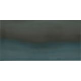 Xapa Navy Porcelain Wall and Floor Tile - 24 x 48 in. - The Tile Shop