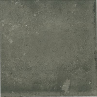 Antigua Graphite Porcelain Wall and Floor Tile - 13 x 13 in. - The Tile ...