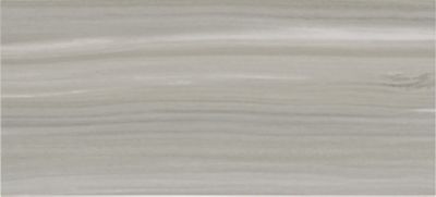 Fossil Dark Grey Porcelain Wall Tile - 10 x 22 in. - The Tile Shop