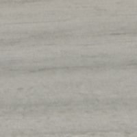 Fossil Dark Grey Porcelain Wall Tile - 10 x 22 in. - The Tile Shop