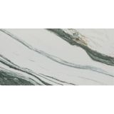 Marradi Calacatta Emerald Matte Porcelain Wall and Floor Tile - 24 x 48 ...