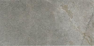 Mask Silver Porcelain Wall and Floor Tile - 12 x 24 in. - The Tile Shop