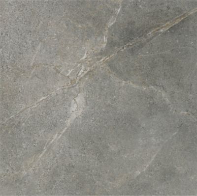 Mask Silver Porcelain Wall and Floor Tile - 24 x 24 in. - The Tile Shop