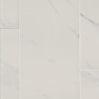 Lenci White Matte Porcelain Wall and Floor Tile - 12 x 24 in. - The ...