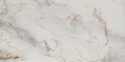 Pisa Oro Polished Porcelain Wall and Floor Tile - 24 x 48 in. - The ...