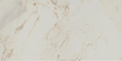 Pisa Oro Matte Porcelain Wall and Floor Tile - 12 x 24 in. - The Tile Shop