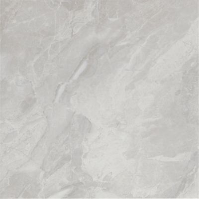Marmo Ice Rock Matte Porcelain Wall and Floor Tile - 24 x 24 in. - The ...