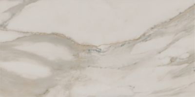 Rio Calcatta White Porcelain Wall and Floor Tile - 24 x 48 in. - The ...