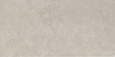 Rapolano Light Porcelain Wall and Floor Tile - 24 x 48 in. - The Tile Shop