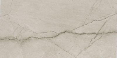 Maya Bianco Carved Porcelain Wall and Floor Tile - 12 x 24 in. - The ...