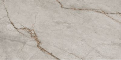 Room Grey Porcelain Wall and Floor Tile - 24 x 48 in. - The Tile Shop