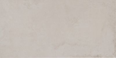 Sonar Bone Porcelain Wall and Floor Tile - 24 x 48 in. - The Tile Shop