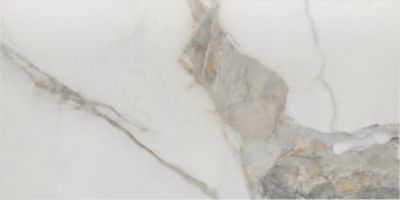 Pietra Di Marmi Polished Porcelain Wall and Floor Tile - 24 x 48 in ...