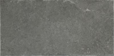 Pulse Antique Graphite Porcelain Wall and Floor Tile - 12 x 24 in ...