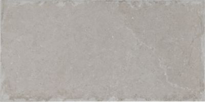 Pulse Antique Grey Porcelain Wall and Floor Tile - 12 x 24 in. - The ...