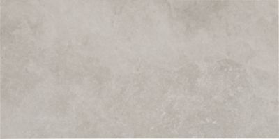 Endless White Porcelain Wall and Floor Tile - 12 x 24 in. - The Tile Shop